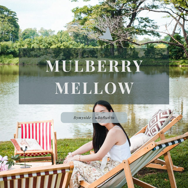 Mulberry Mellow คาเฟ่สไตล์มินิมอลริมแม่น้ำกาญจนบุรี｜Trip.com 北碧