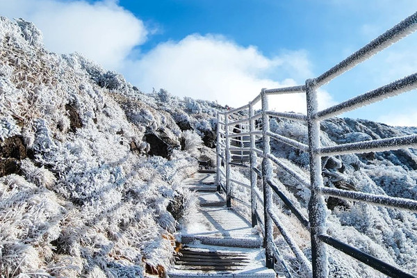 Winter fairy tale: Hallasan in the snow, conquers my heart! | Trip.com Jeju