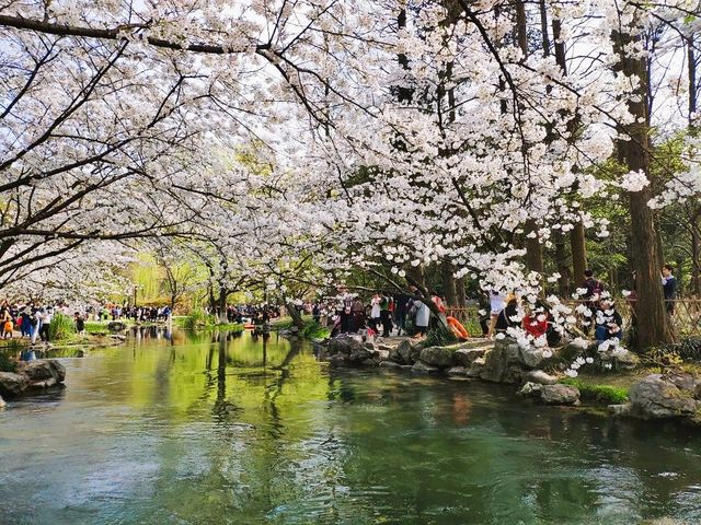 Spring in Prince Bay Park | Trip.com Hangzhou