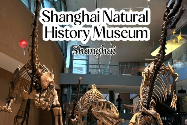 Shanghai Natural History Museum | Trip.com เซี่ยงไฮ้