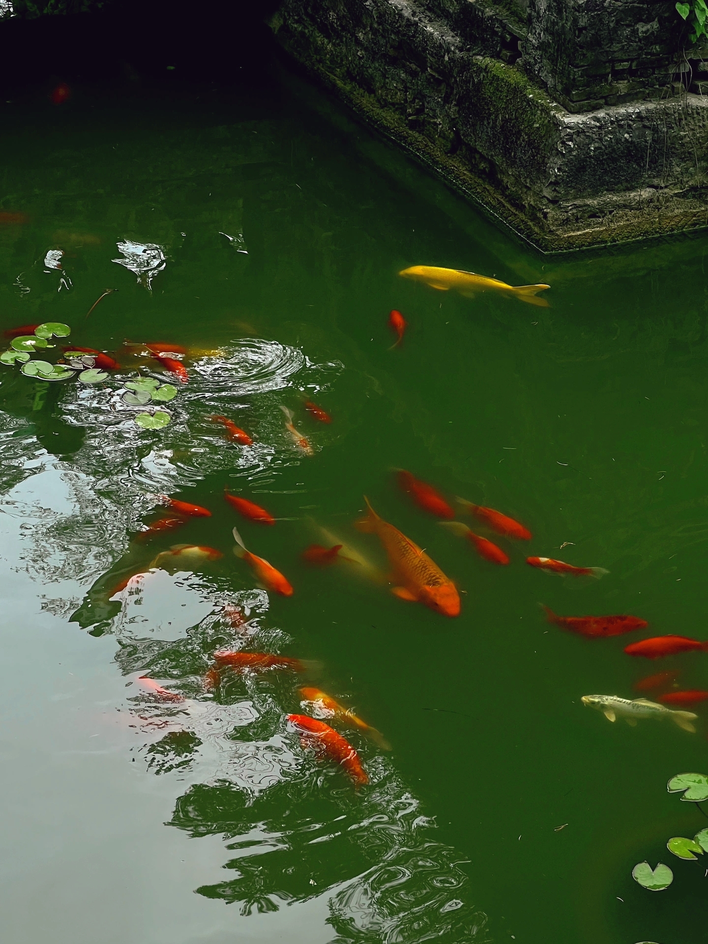 Chuzhou Travel Guide 2024 - Things to Do, What To Eat & Tips | Trip.com