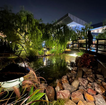 **Night View at Bamboo Hill: A Tranquil and Scenic Escape** | Trip.com ...