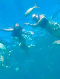 Paradise found🇩🇴 | Trip.com Punta Rucia