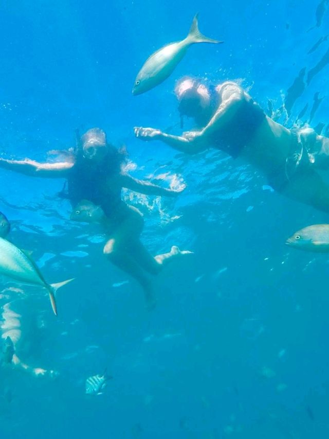 Paradise found🇩🇴 | Trip.com Punta Rucia