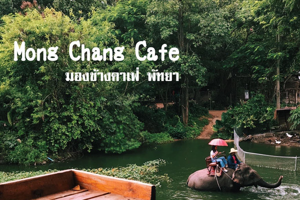 มองช้างคาเฟ่ MongChang Cafe @PATTAYA 🐘🌿 | Trip.com พัทยา