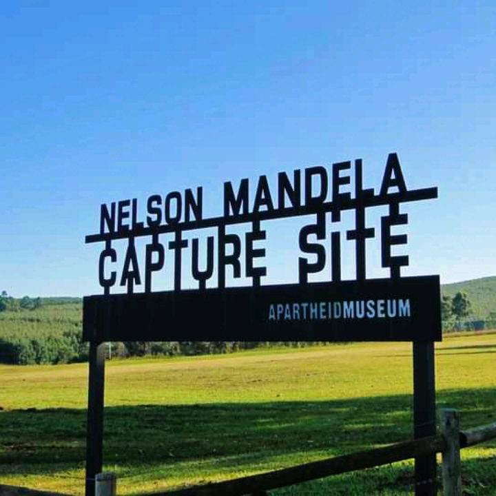 Howick Travel Guide 2023 - Things to Do, What To Eat & Tips | Trip.com