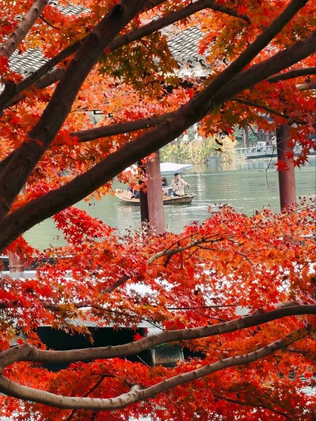 Autumn in a Hidden Scroll: Yuhuwan by the West Lake | Trip.com Hangzhou
