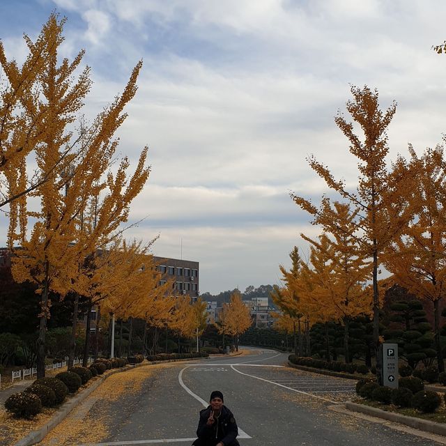 Autumn Season | Trip.com Nonsan-si