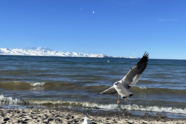 Traveling to Tibet | Trip.com Dingri