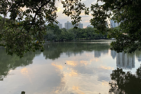 Lychee Park | Trip.com Shenzhen