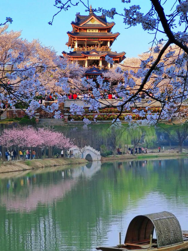 2026 Wuxi Yuantouzhu Cherry Blossom Viewing Guide Tested by Locals—No ...