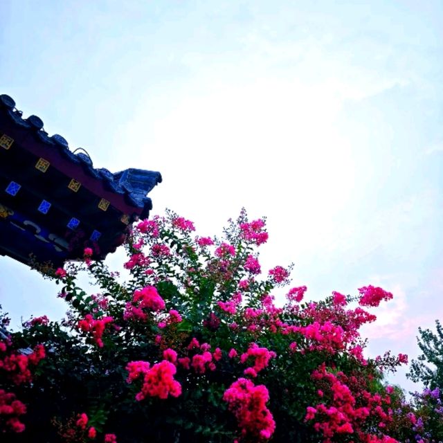 ｜Trip.com 濟南