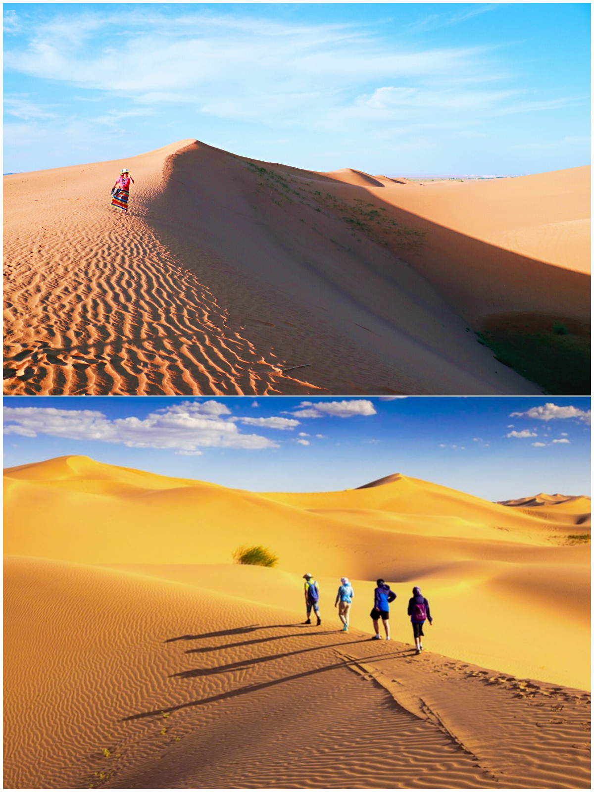 Ningxia Travel Guide 2024 - Things to Do, What To Eat & Tips | Trip.com