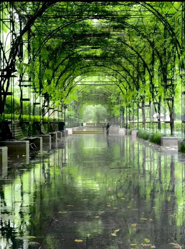 It turns out Shanghai hides a "Garden of Words"! A stunning secret spot ...
