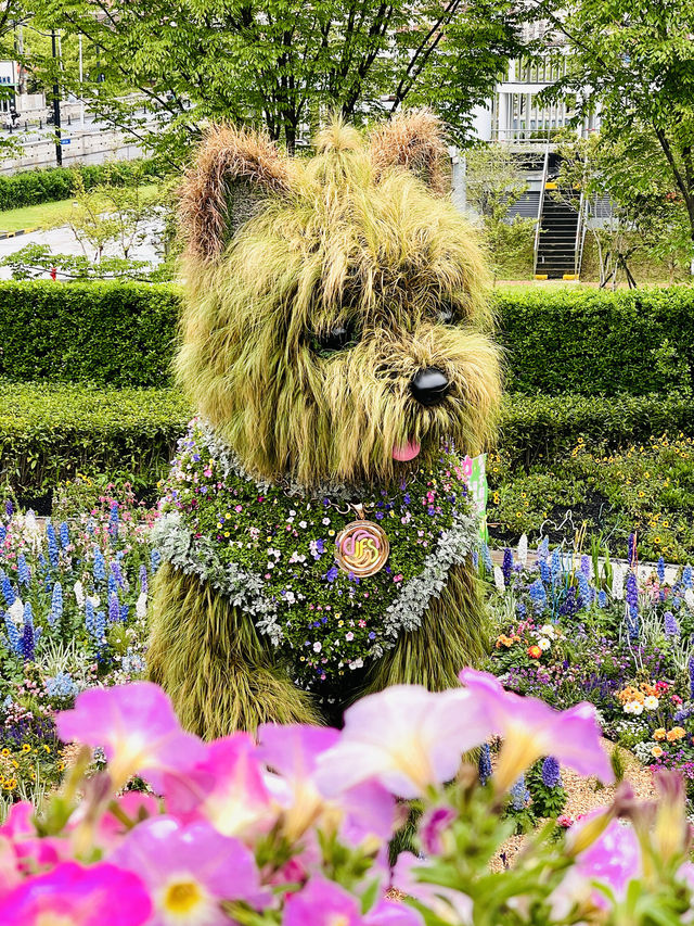 Anjing Rumput Kecil yang Viral, Anjing Tanaman Raksasa | Trip.com Shanghai