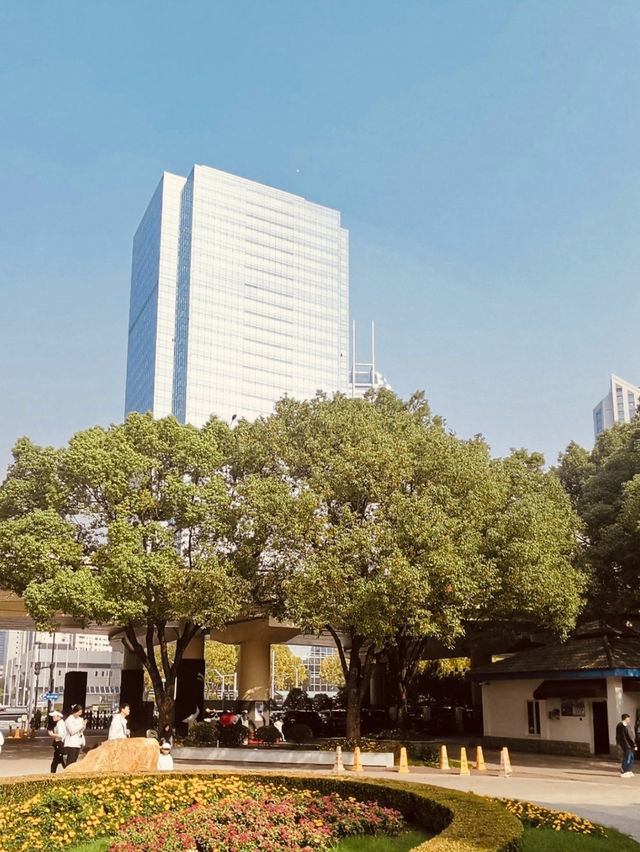 The Forest Oxygen Bar: A 130,000㎡ Emerald Sanctuary | Trip.com Shanghai