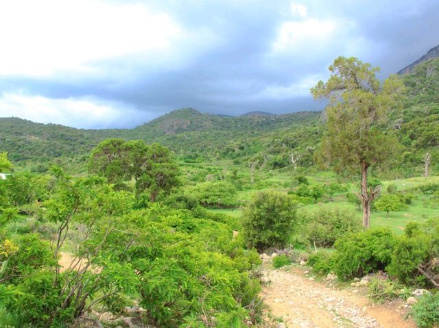Explore Somaliland's Wonders: Hargeisa & Gabiley Adventure in 22 Days 🌍 ...