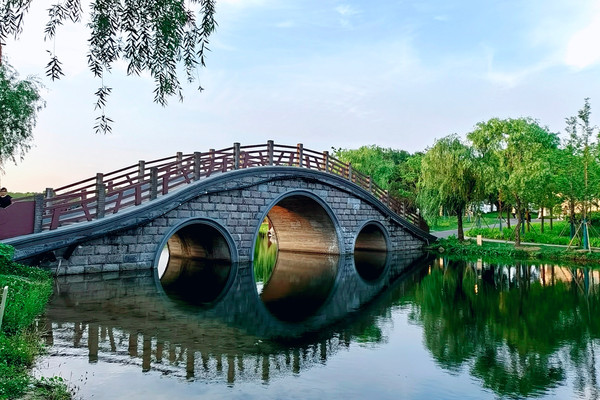 Jinhai Wetland Park, it's not just about wetlands | Trip.com Shanghai
