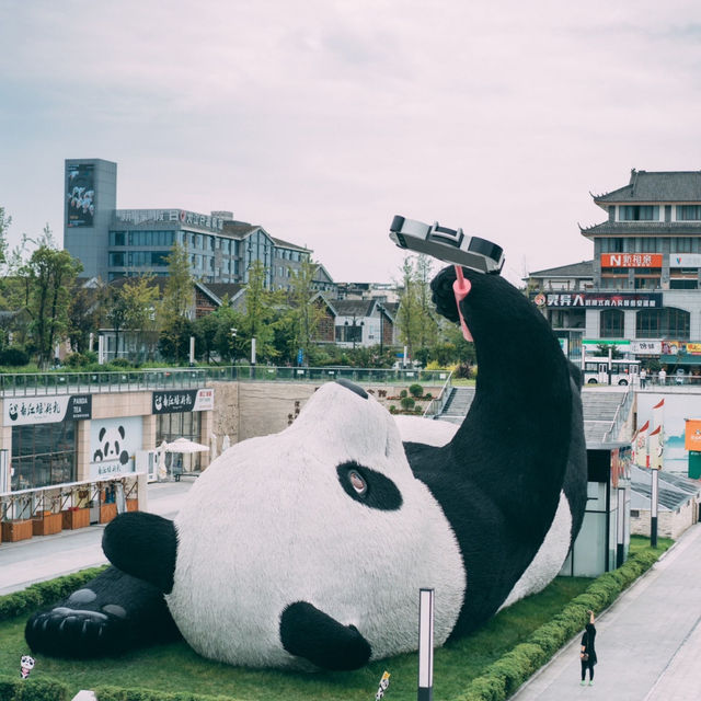 Explore Chengdu's Charming Yangtianwo Panda Square" | Trip.com Chengdu