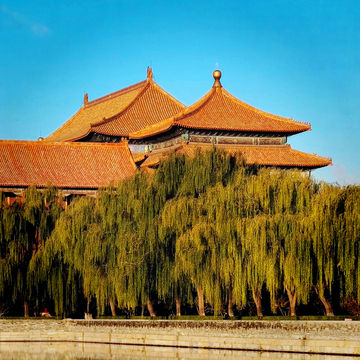 Beijing Palace Glow🌨️ A Day at The Palace Museum｜Trip.com 北京