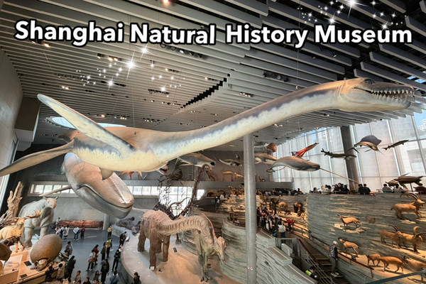 Shanghai Natural History Museum is a must-visit destination! | Trip.com ...