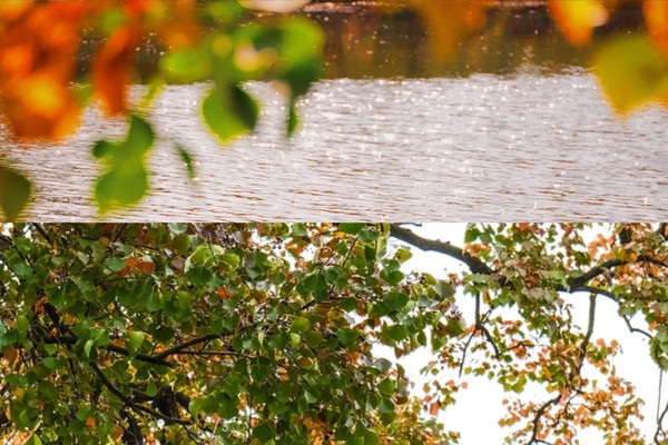 Don't sleep in when you come to Nanjing! The autumn here is as ...