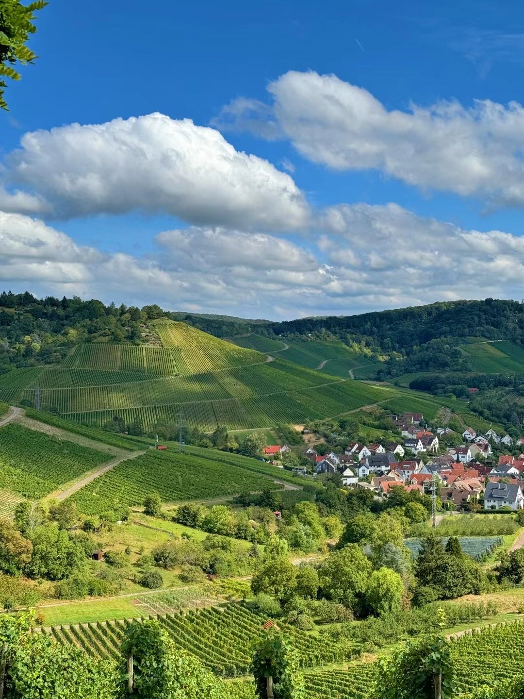 Things to Do in Mohringen in 2025 - Top Attractions, Local Food, Hotels ...
