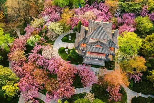 Xi'an Spring Subway Flower Viewing Guide: Multiple Lines Direct to ...