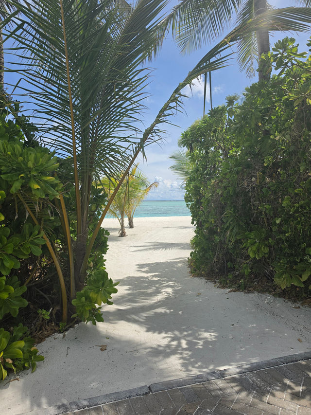 在Riu Palace酒店享受了令人難忘的蜜月和生日體驗｜Trip.com 凱迪甘度島