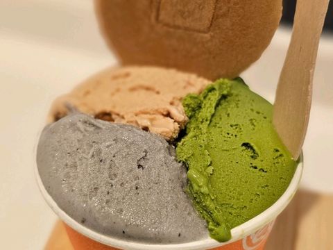 2025: A Year of Unforgettable Journeys | Trip.com Yamanouchi