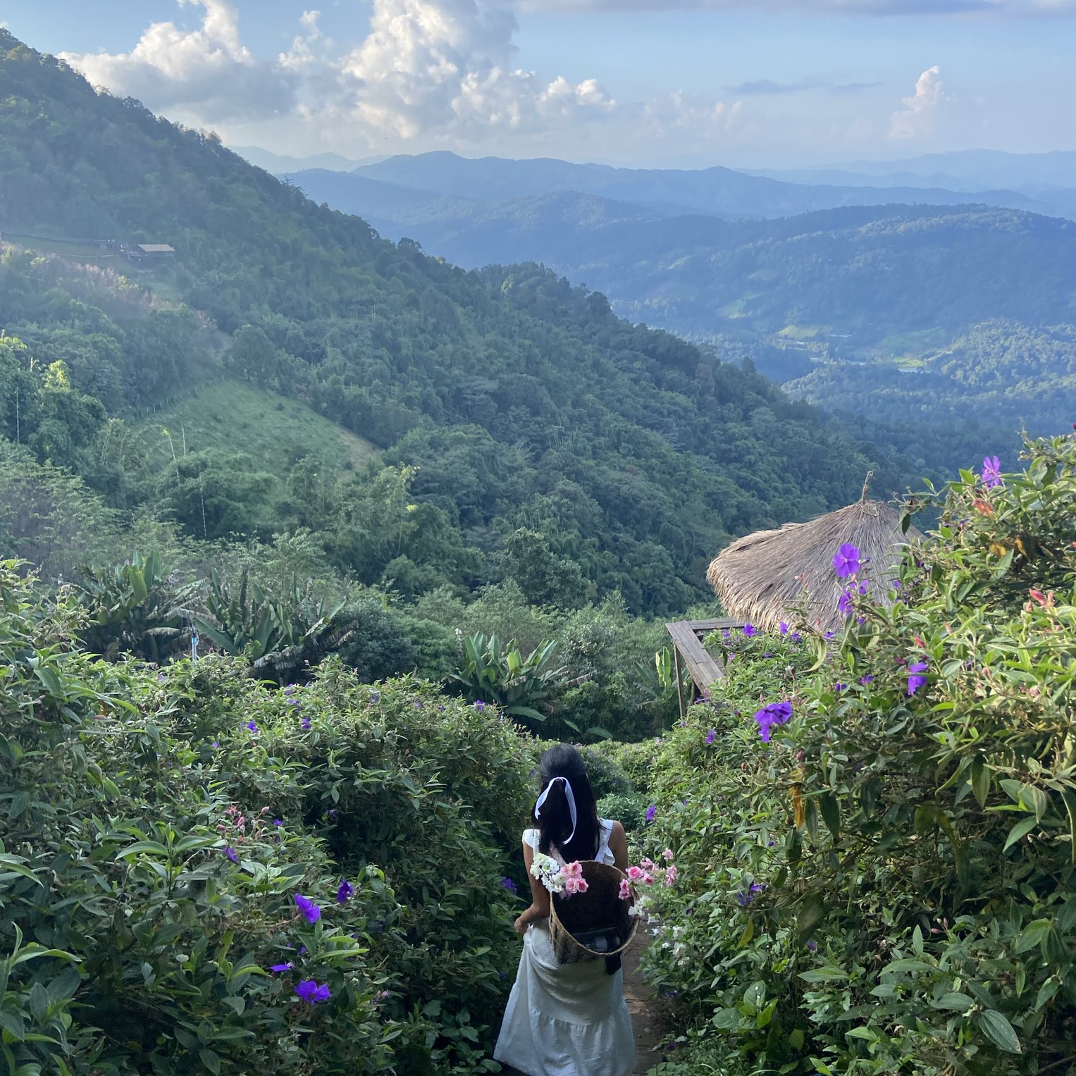 Things to Do in Mae Rim in 2024 - Top Attractions, Local Food, Hotels ...