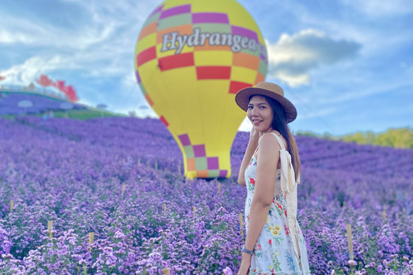 Hydrangea Cafe ไฮเดรนเยียคาเฟ่ เขาค้อ | Trip.com เพชรบูรณ์