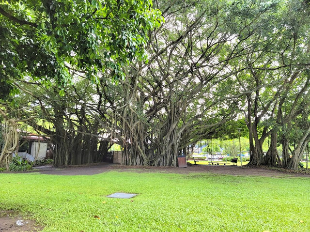 Fogarty Park | Trip.com Cairns