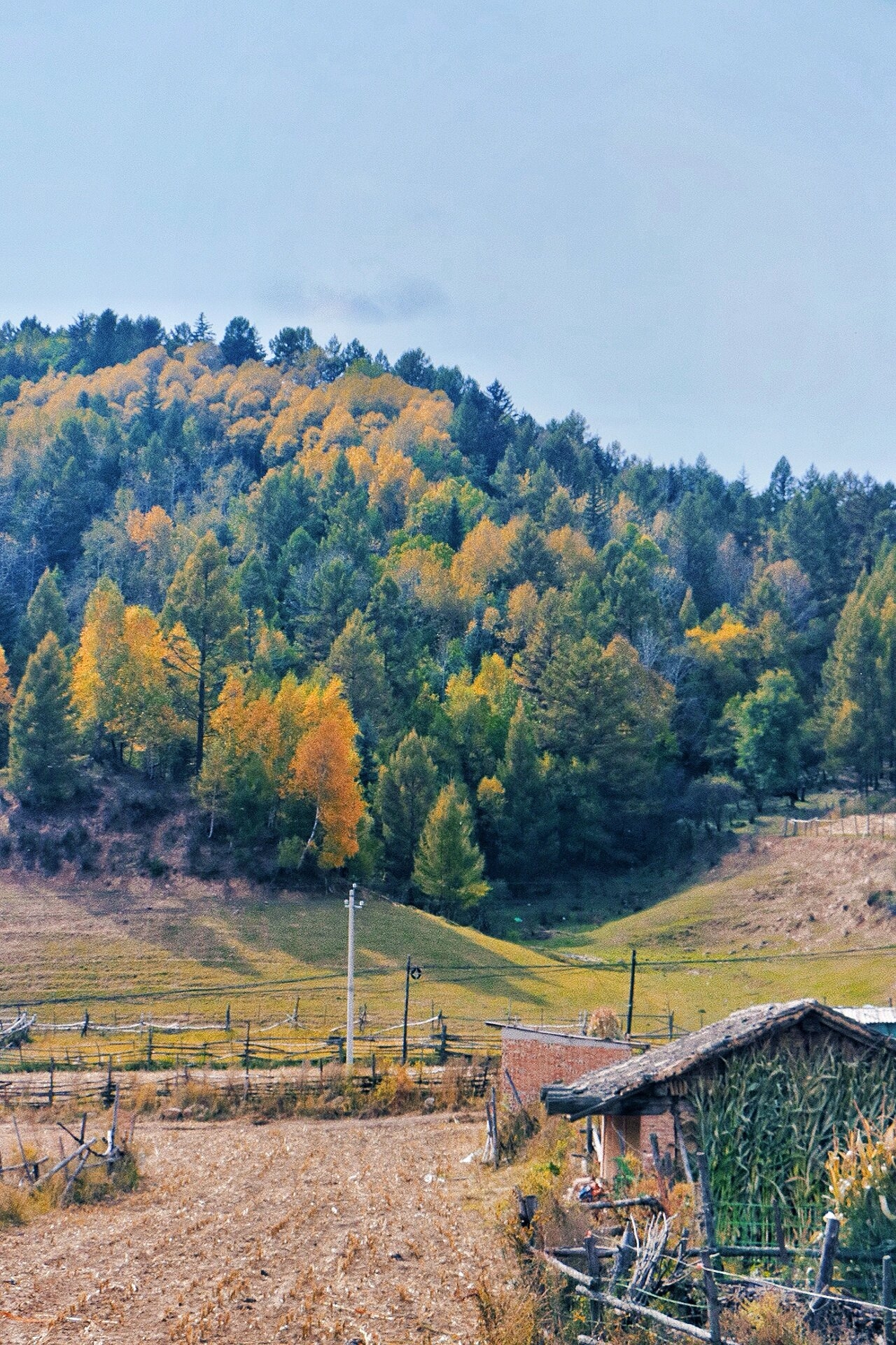 Things to Do in Jiaocheng in 2024 - Top Attractions, Local Food, Hotels ...