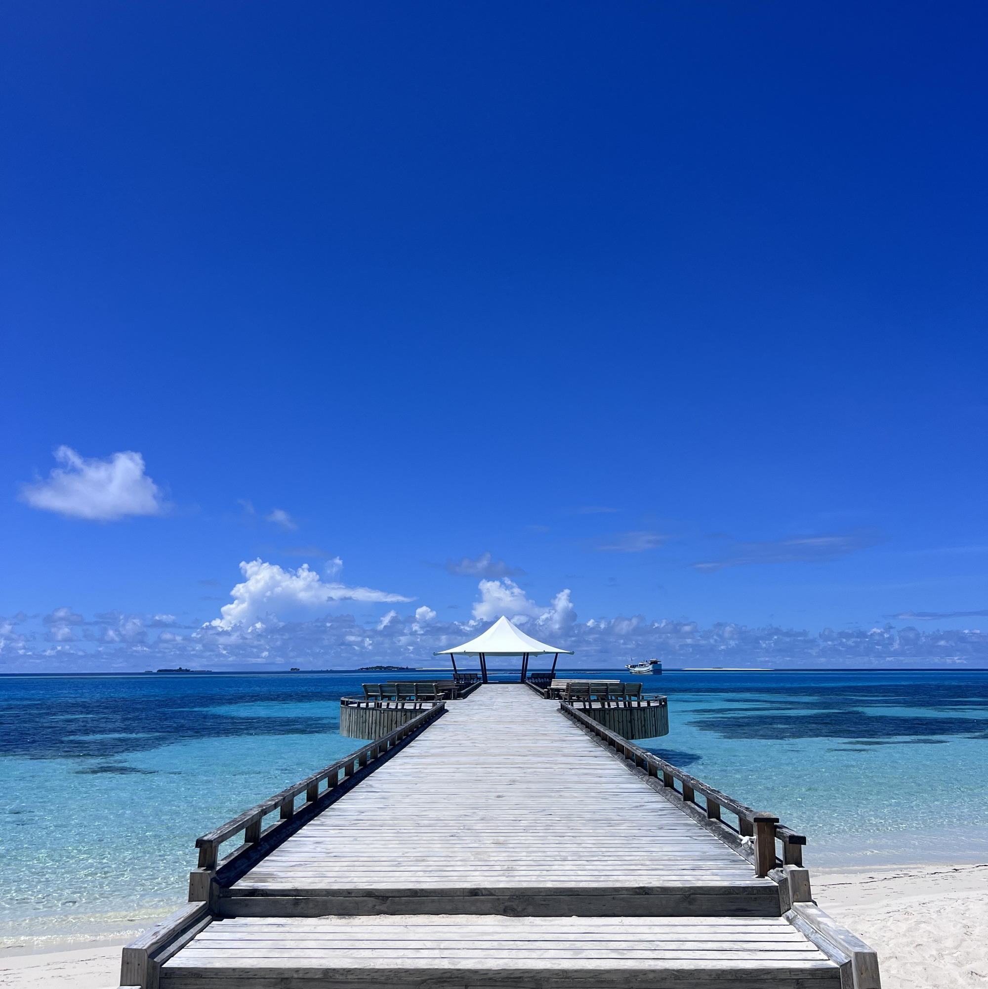 Things to Do in Alif Dhaal Atoll in 2025 - Top Attractions, Local Food ...