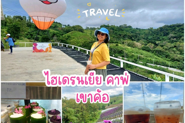 คาเฟ่ฟีลกู๊ด Hydrangea Cafe | Trip.com อำเภอ เขาค้อ