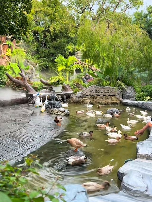 Wild Duck Cafe | Trip.com กรุงเทพฯ