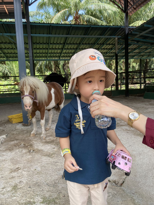 Visiting Hussin Fauzi Farm with family | Trip.com Kuala Selangor