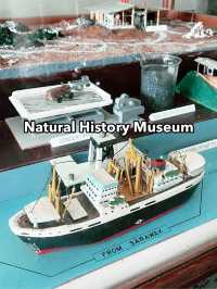 Heritage & Industry: Natural History Museum Kuching Highlights | Trip ...