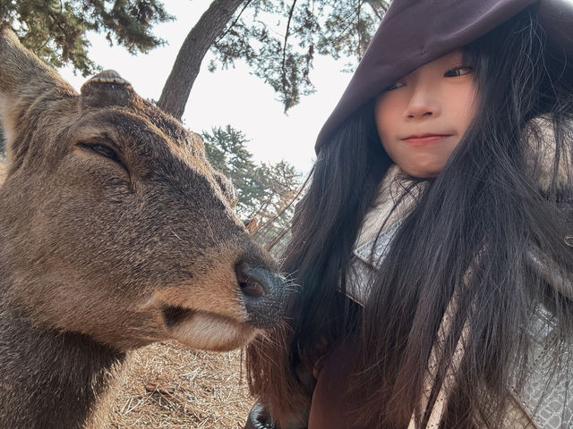 🦌 奈良車站一日遊｜Trip.com 奈良市