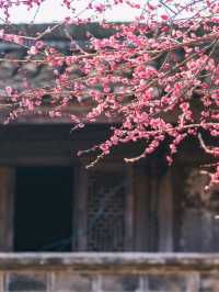 หมู่บ้านโบราณตงผิง — ความสุขสงบจากการพักผ่อนใกล้ๆ | Trip.com ซานเหมิน