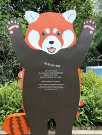 Chengdu: A City of Pandas and Chill Vibes | Trip.com Chengdu