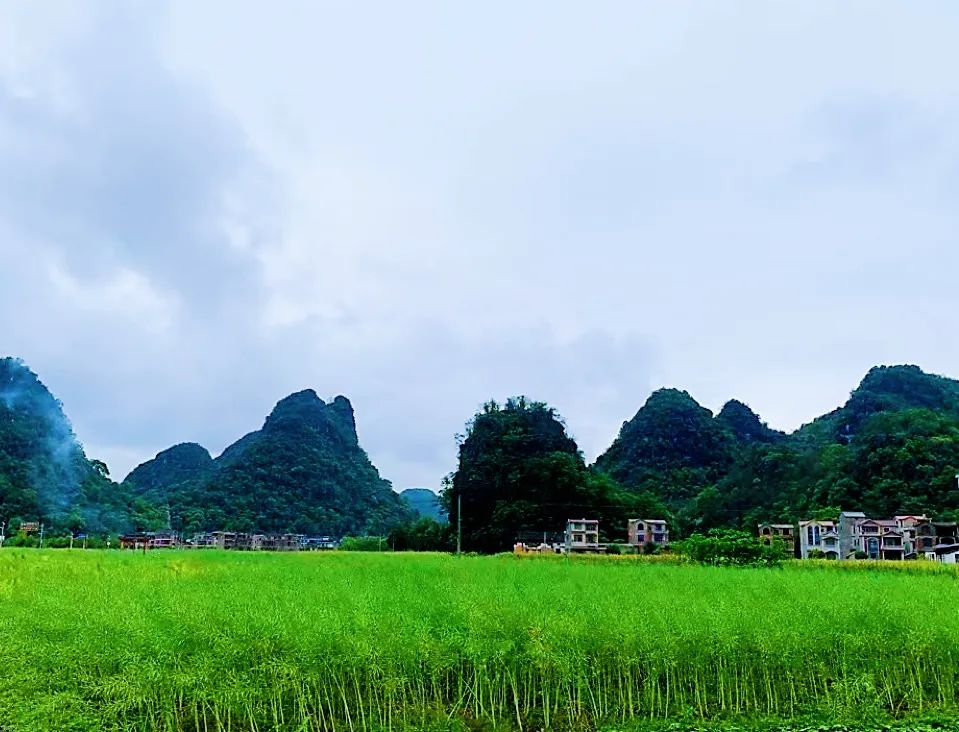 Things to Do in Fuchuan in 2025 - Top Attractions, Local Food, Hotels ...