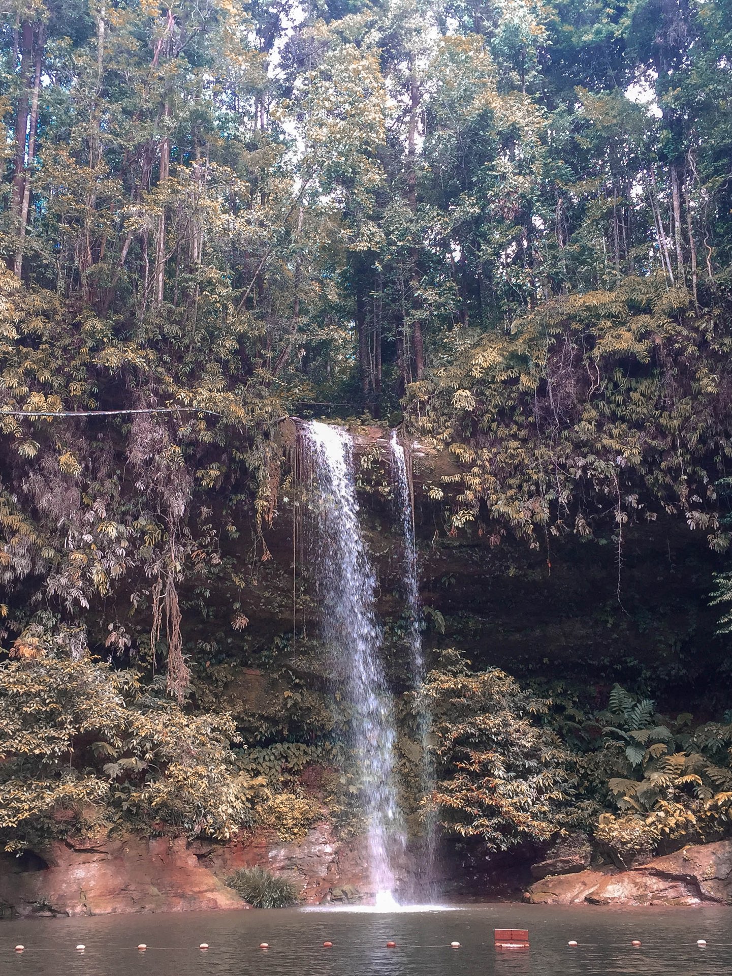 Marudi 2023 Top Things to Do - Marudi Travel Guides - Top Recommended ...