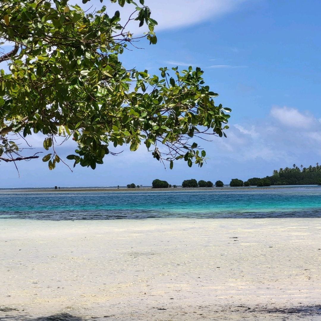 Pohnpei Travel Guide 2023 - Things to Do, What To Eat & Tips | Trip.com