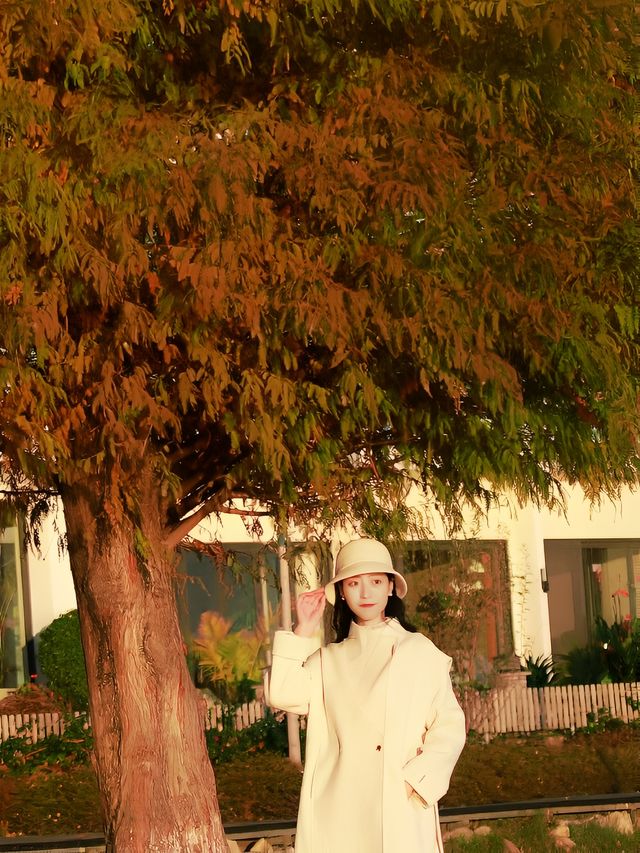 Sequoia Seagull!! Avoiding the Longkan Wharf and the lower wave shed is ...