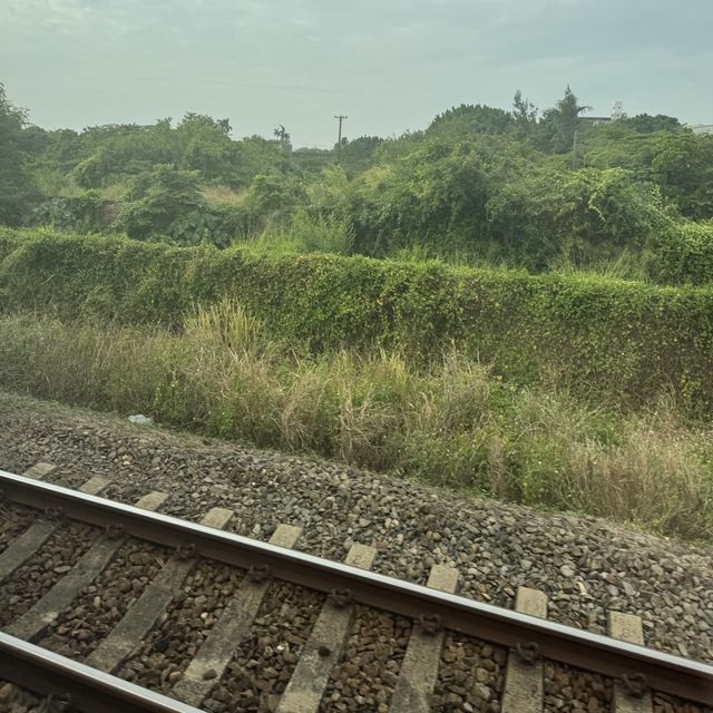 Our experience on Taiwan Express Train | Trip.com Taiwan