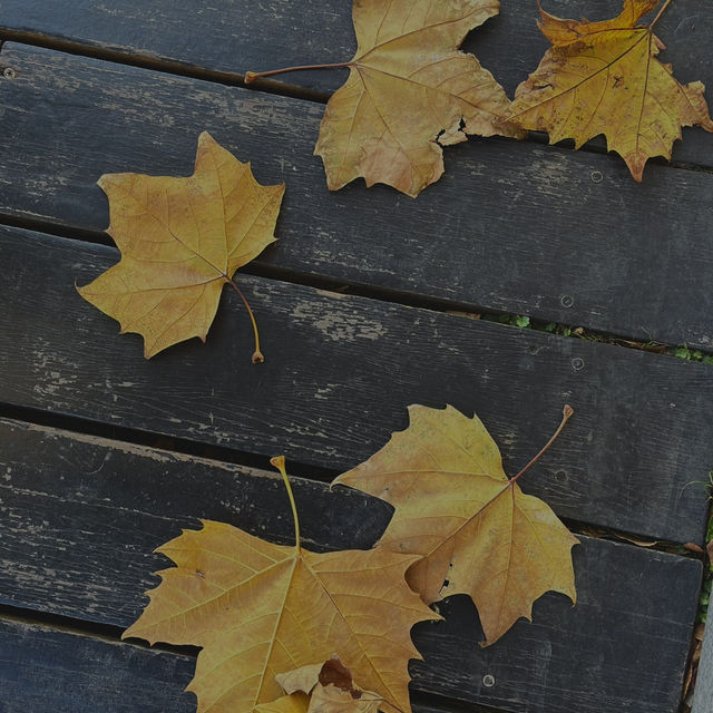 Shanghai 2 Days Itinerary | Trip.com Shanghai