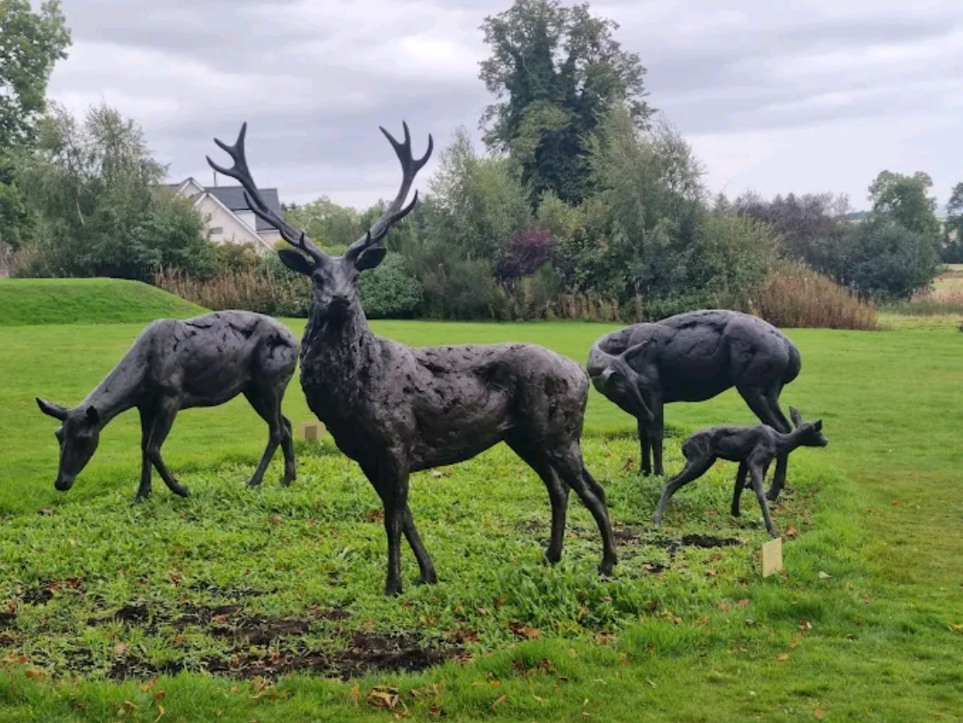 Invergordon Travel Guide 2024 - Things to Do, What To Eat & Tips | Trip.com