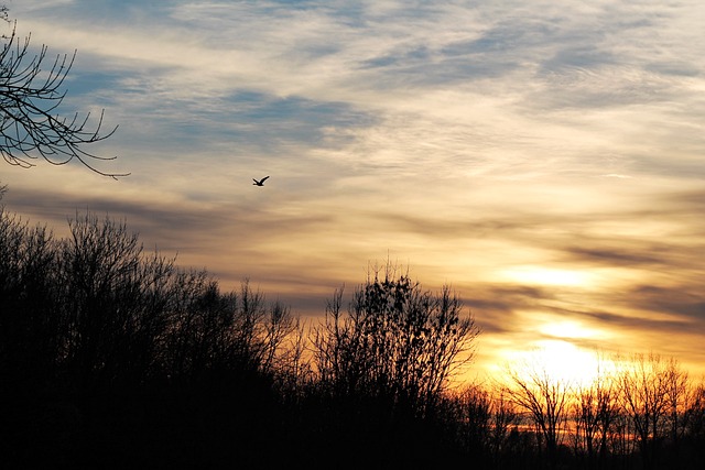 Things to Do in Pingtan in 2025 - Top Attractions, Local Food, Hotels ...